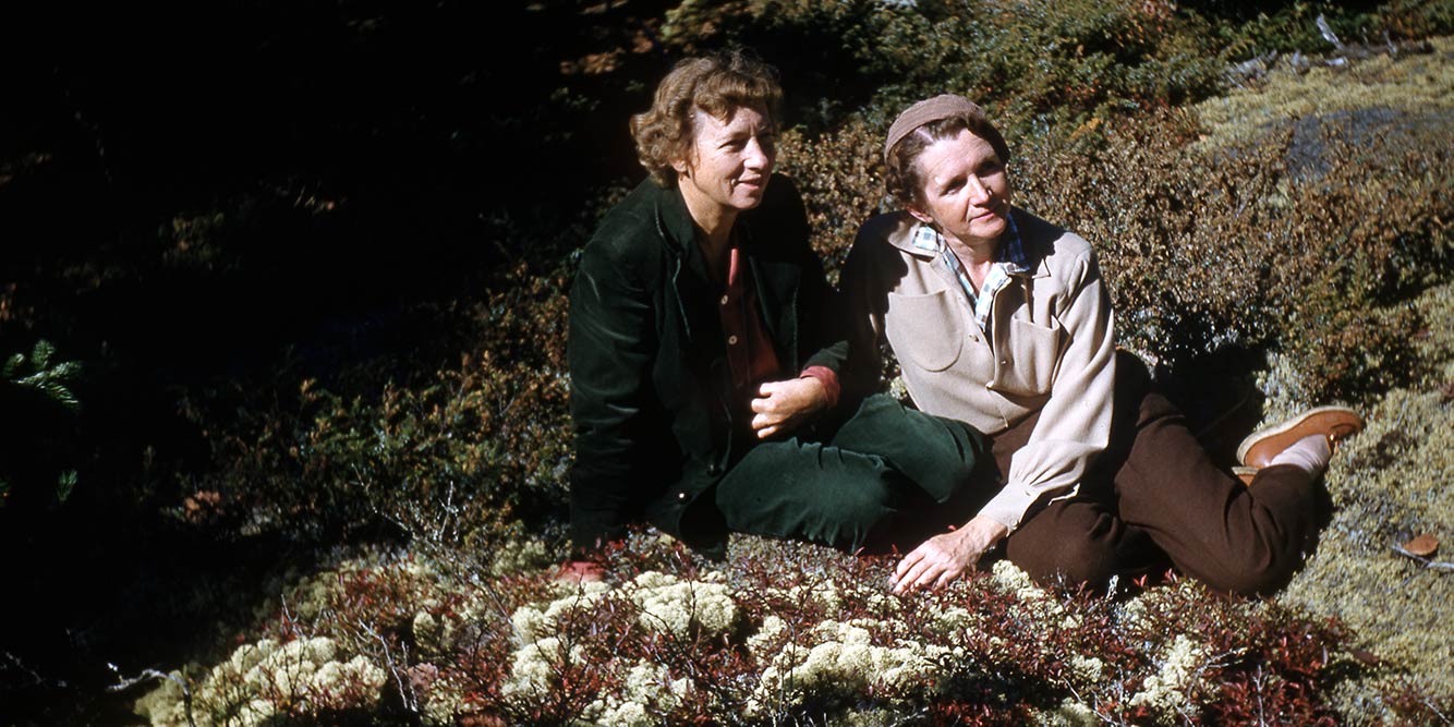 Rachel Carson and the Veery | BirdNote