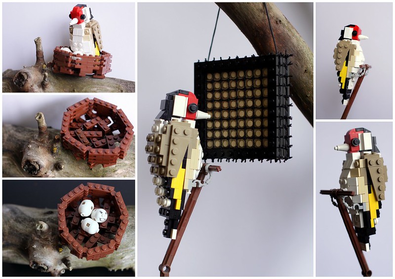Building Birds with LEGO | BirdNote